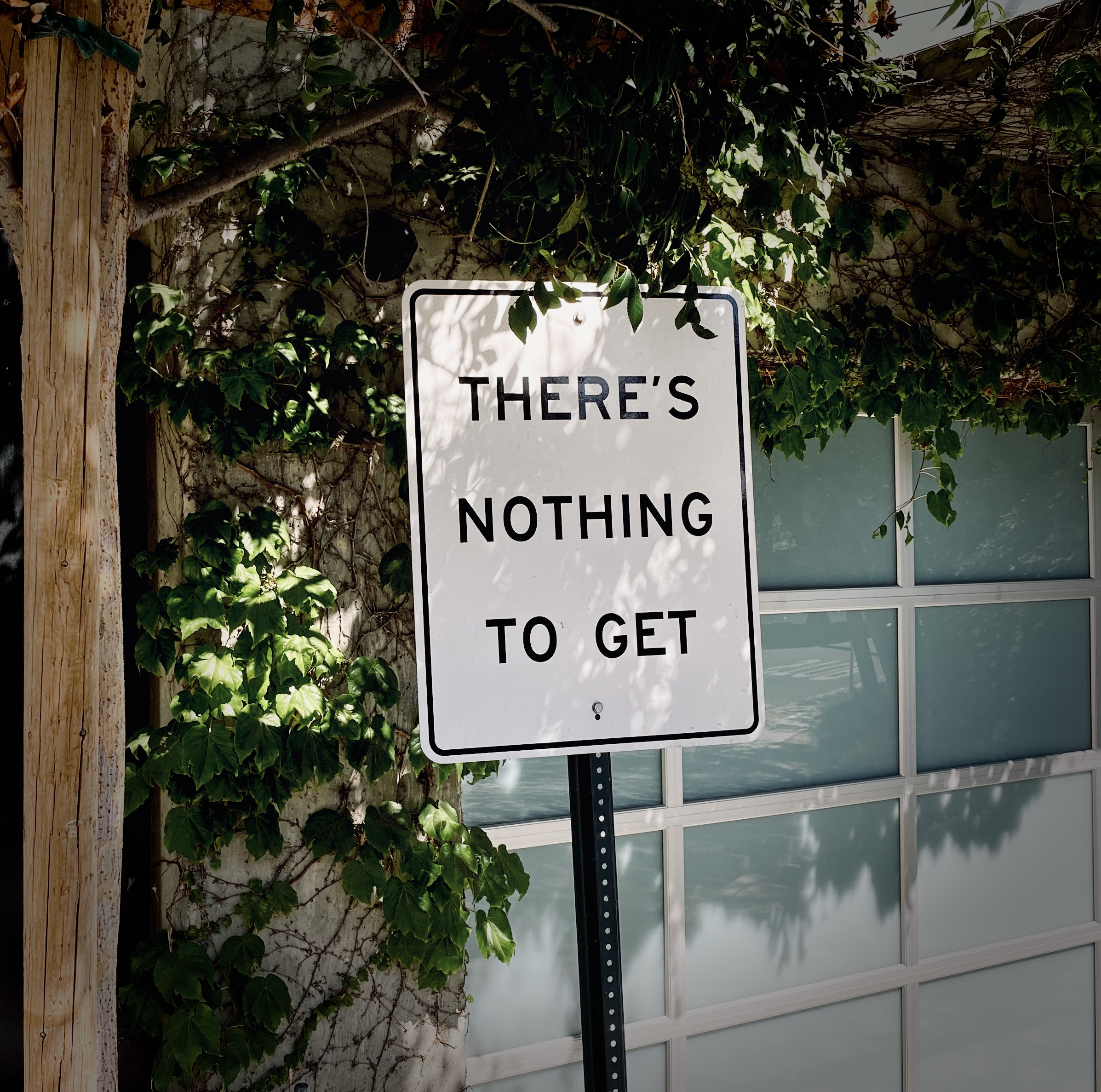 The New Case Against College – Worlding